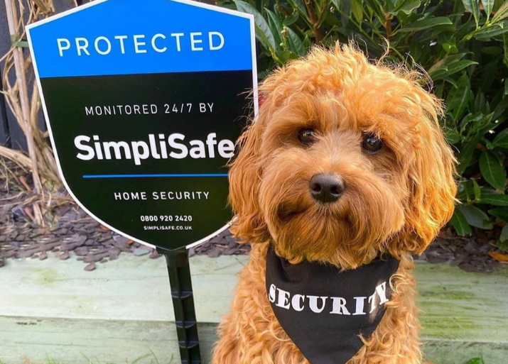 10 security ideas for your home | SimpliSafe Home Security Blog