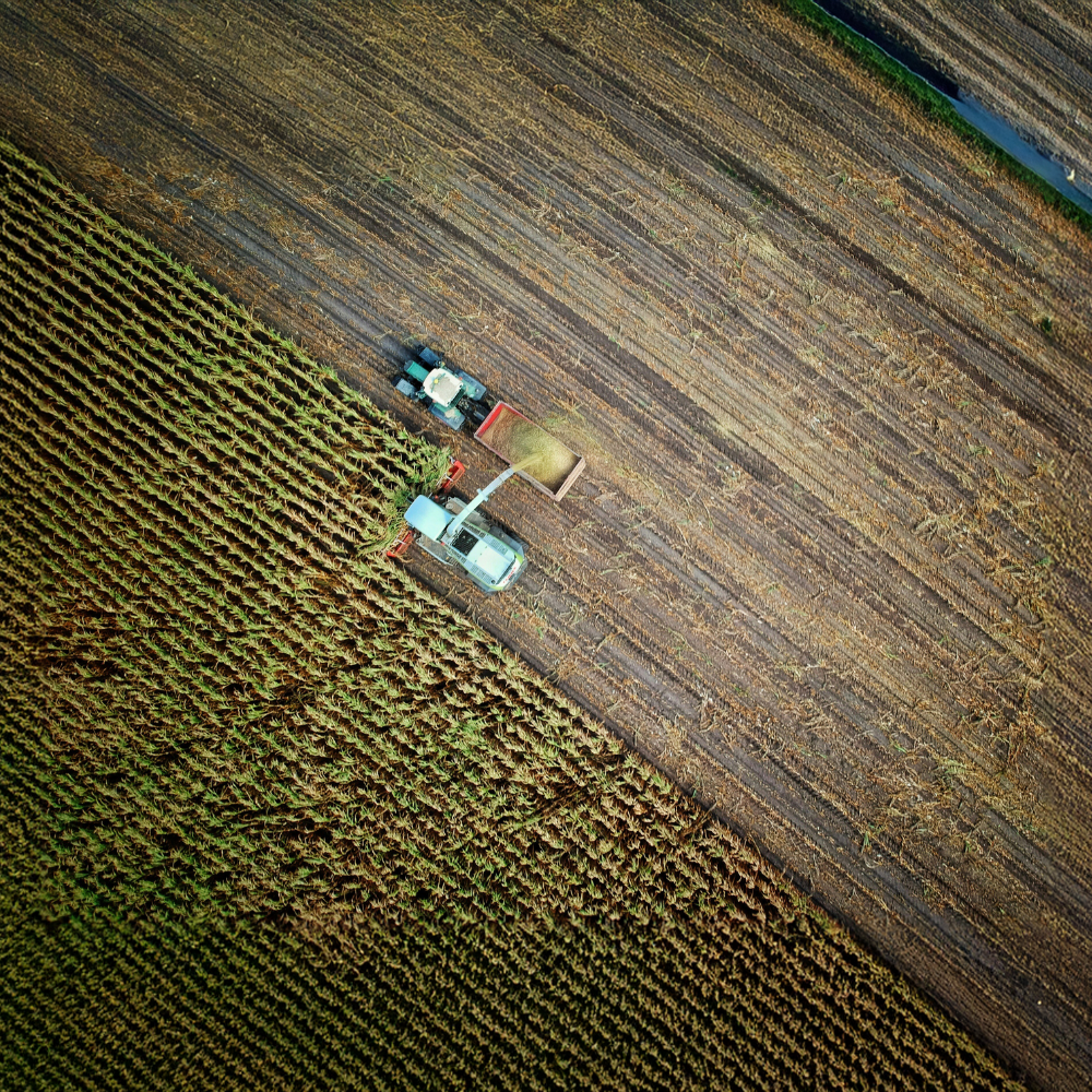 Sustainable Supply Chains: How Disclosure Data Creates Value and Drives ...