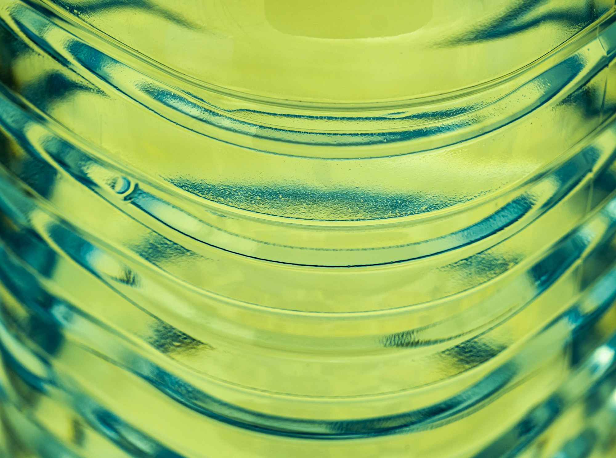 The 2025 Disclosure Dividend - CDP