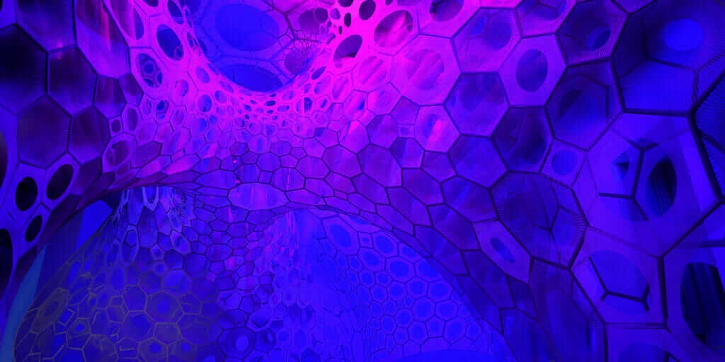 Die Natur kann‘s besser: Bionik in Architektur und Technik