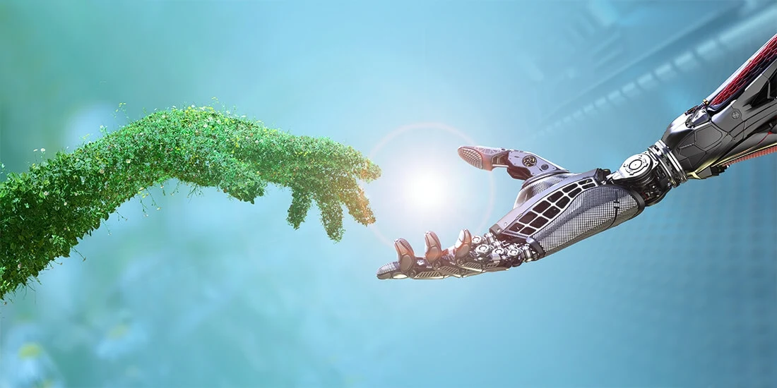 Techniquement naturel : des robots inspirés des plantes et des animaux