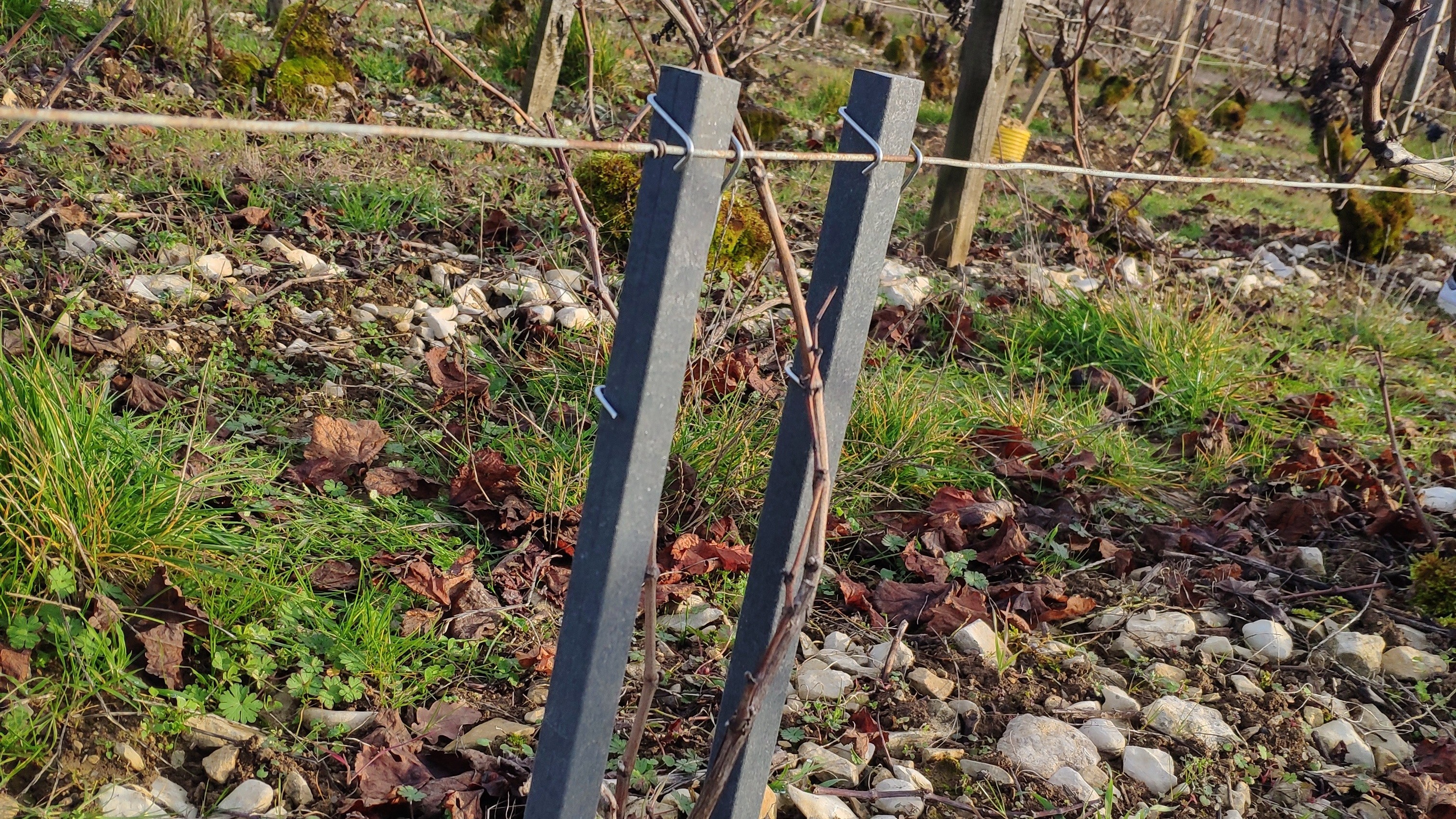 Découvrez le tuteur 100% recyclé, 100% recyclable et fabriqué en France
