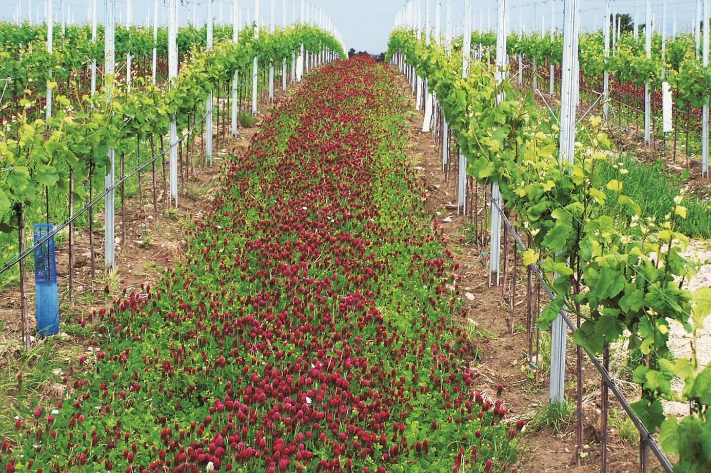 L'enjeu carbone | Aladin.farm