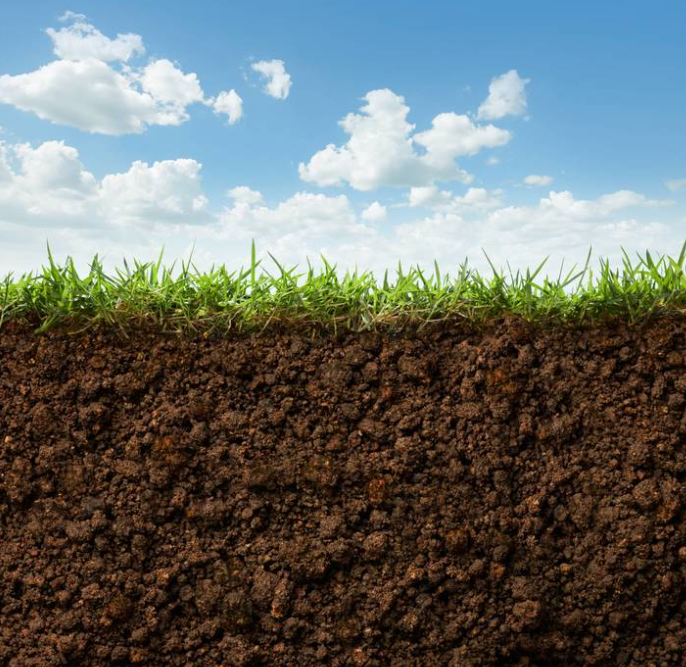 Analyse de sol: quelles données prendre en compte pour optimiser vos ...