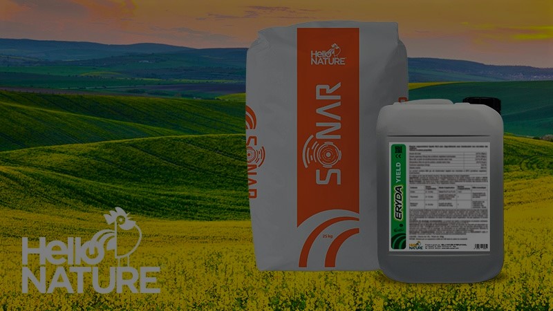 La culture du colza | Aladin.farm