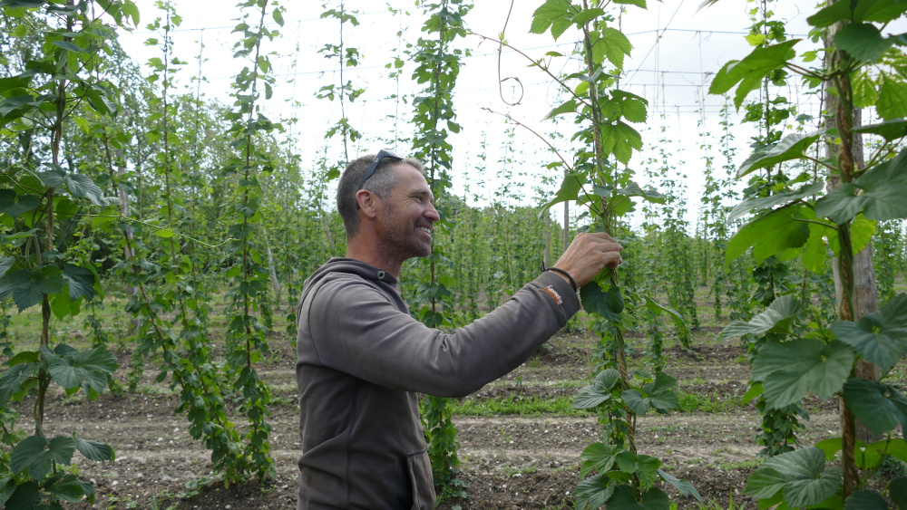 Diversification : 7 points clés à connaître avant de se lancer dans le ...