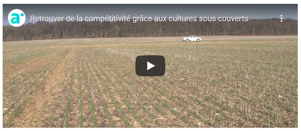 Comment retrouver de la compétitivité grâce aux cultures sous couverts ...