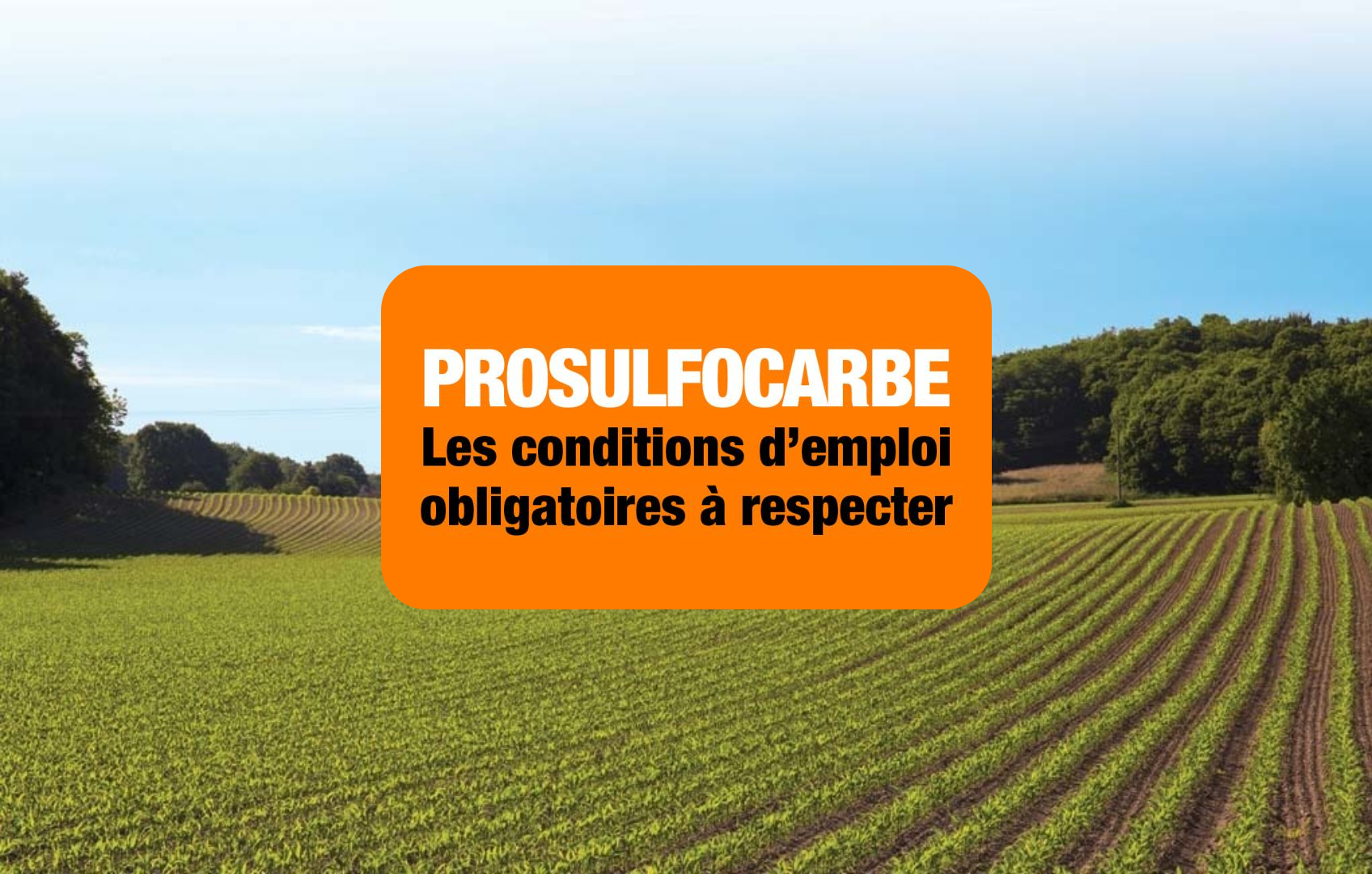 Prosulfocarbe : nouvelles décisions réglementaires | Aladin.farm