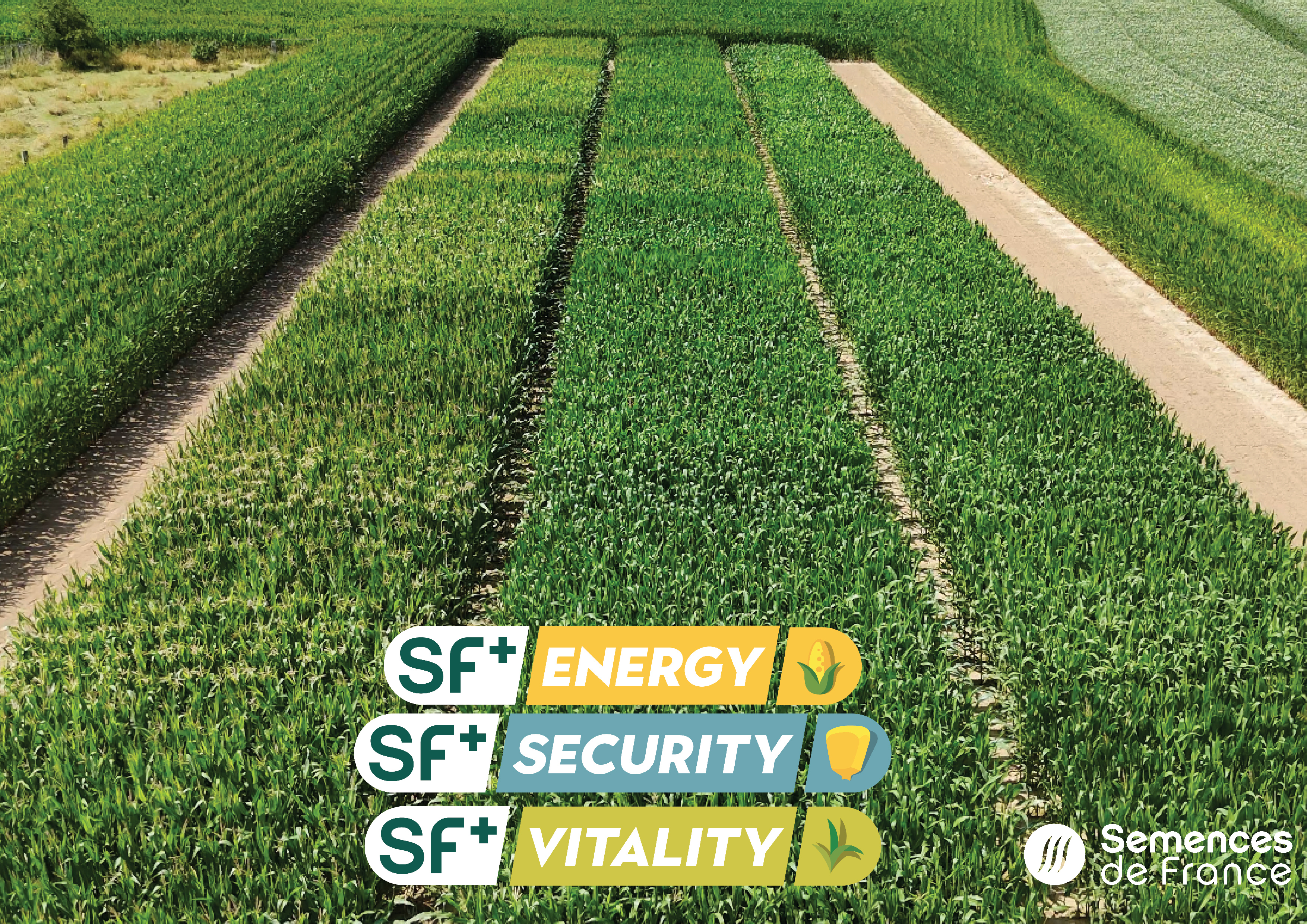 Découvrez la Nouvelle Génétique de Semences de France et les Labels SF+ ...