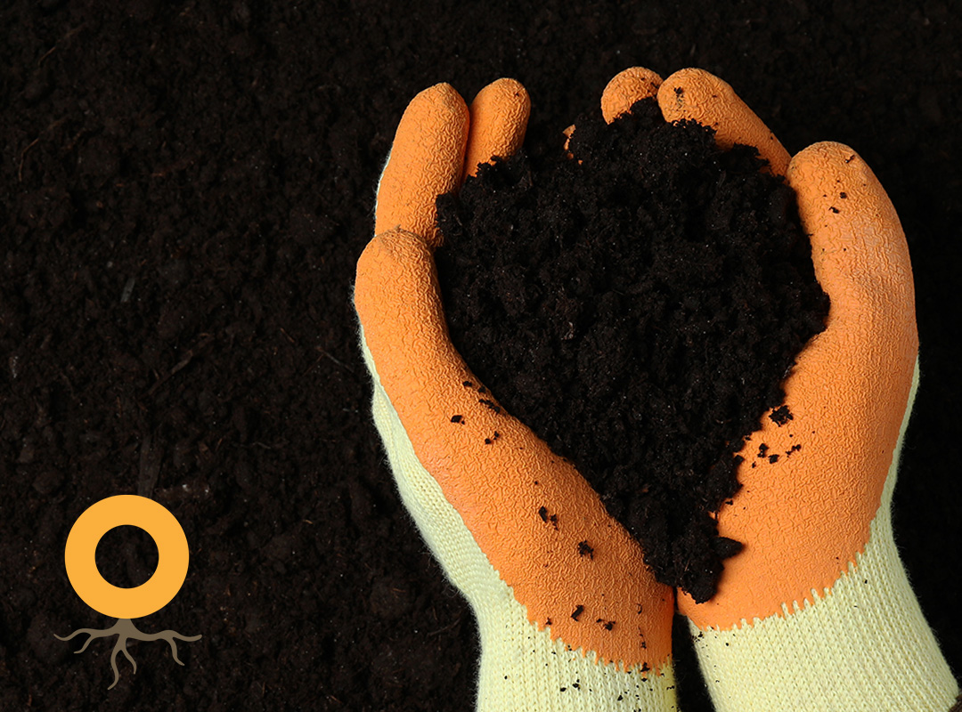 Une approche innovante pour mesurer et améliorer la santé des sols ...