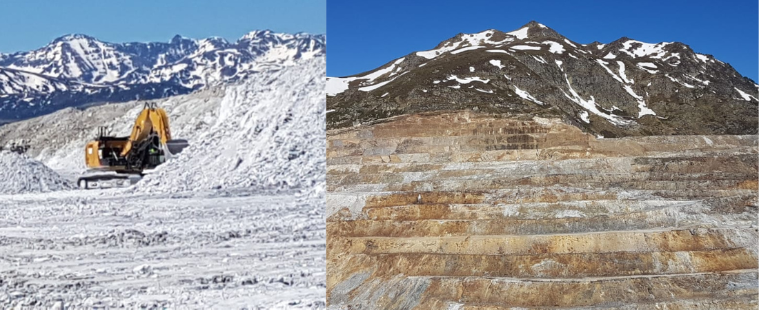 Invelop White Protect, un spectre unique d’utilisation en arboriculture ...