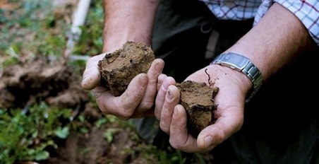 Accélérer le processus de revitalisation des sols : une nécessité ...