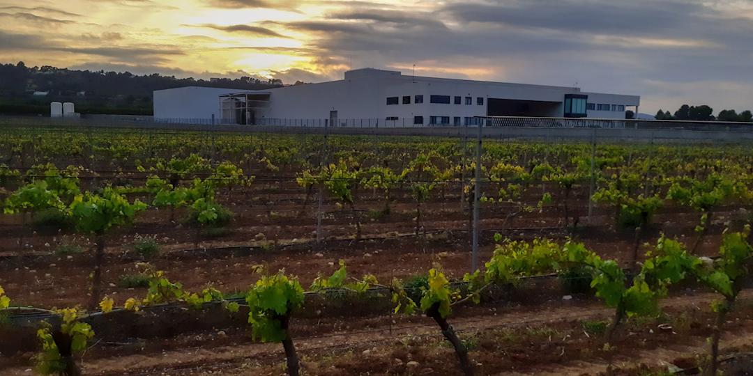 Chr. Hansen Natural Colors acquires SECNA Natural Ingredients Group S.L.