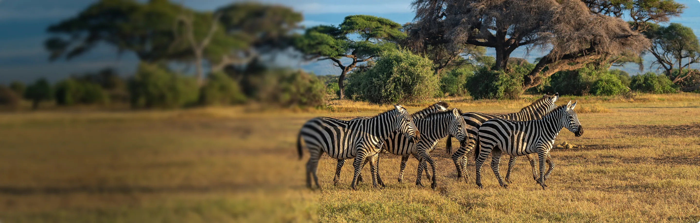 Vodafone Travel eSIM Kenya | Prepaid eSIM for Kenya