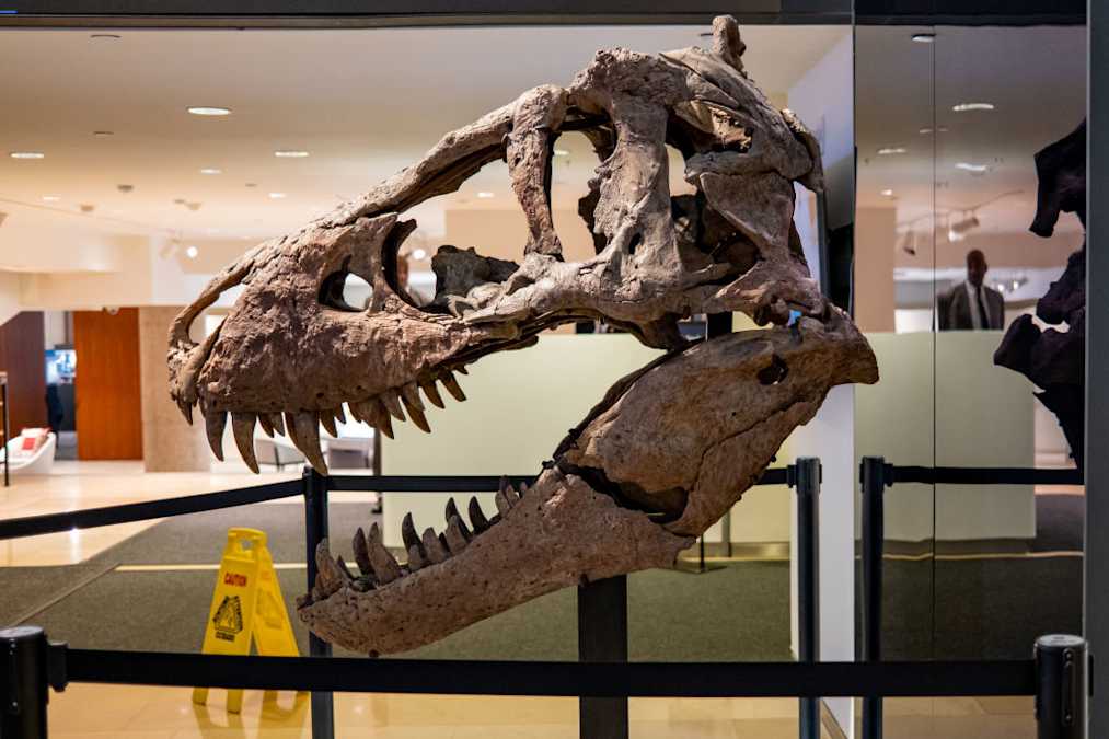 Good2Know: T-Rex Had Lips & Plants Can Talk