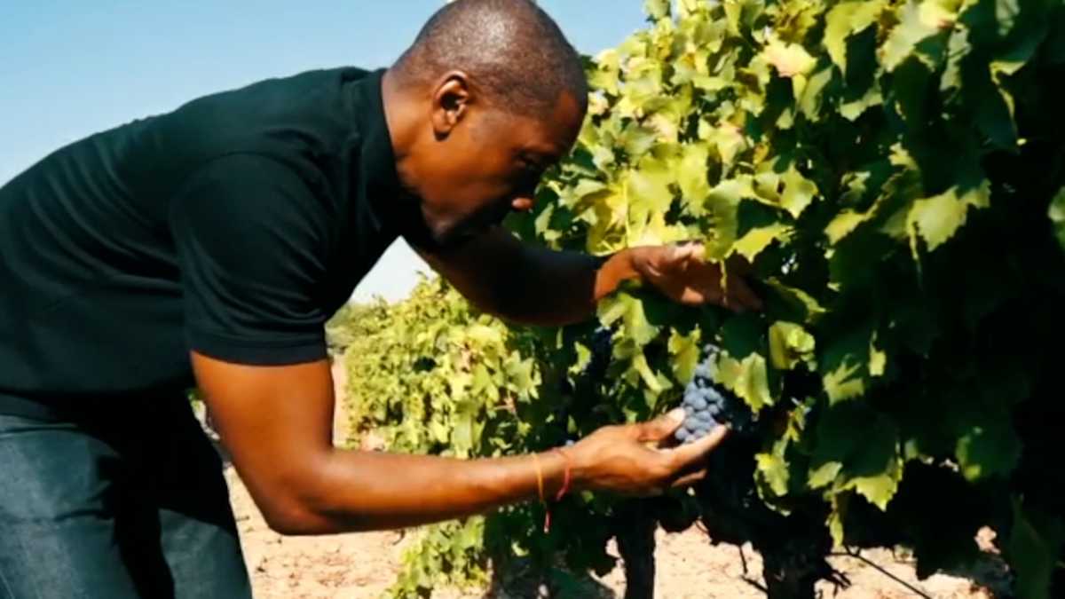 Donae Burston On Disrupting The Wine Industry