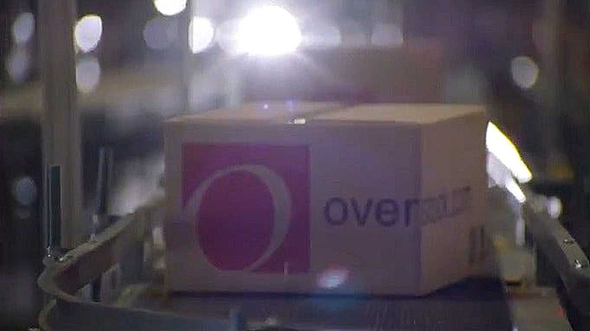 Overstock CEO Credits Business Model for Success During Pandemic