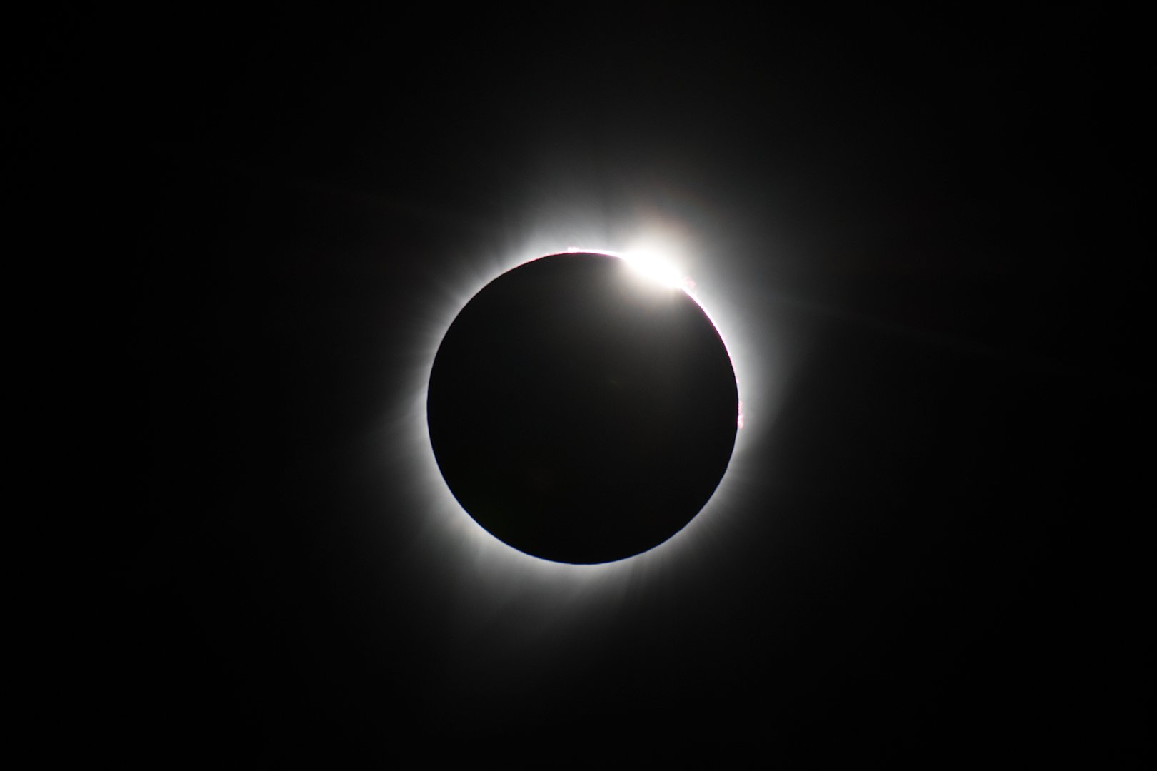 April’s Total Solar Eclipse Is a Must-See. Here Are 5 Charming ...