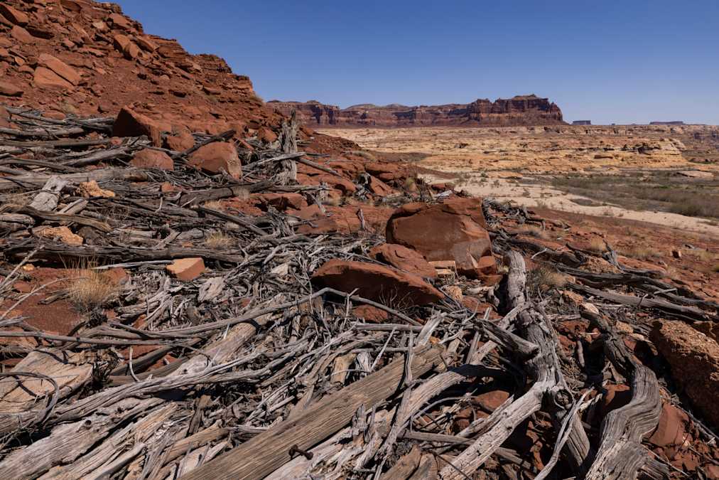 Earth in Danger Zone in Nearly All Ecological Ways, Study Says