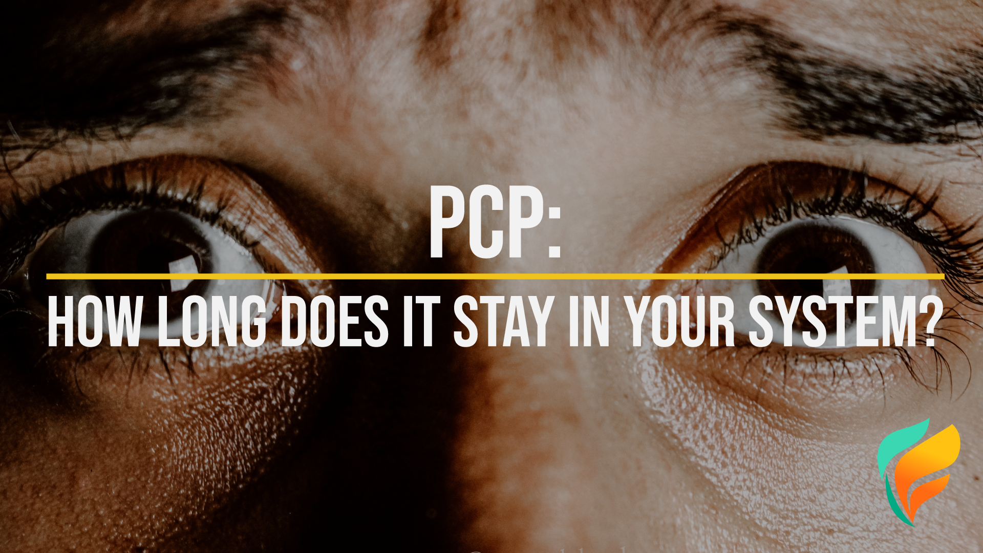 PCP: How Long Does PCP Stay in Your System? Exploring Detection Times ...