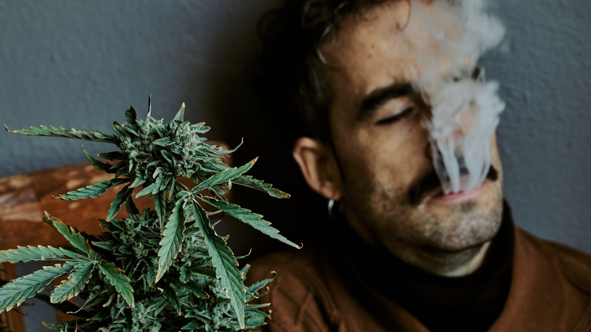 Green Out Meaning: Understanding the Effects of Cannabis Overconsumption