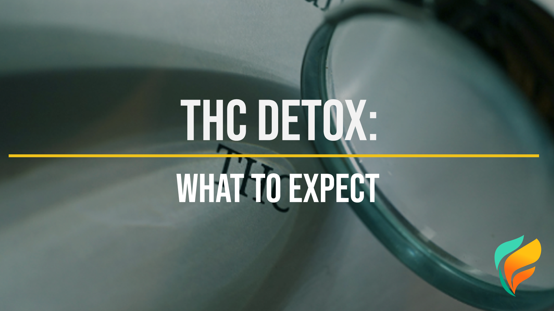 THC Detox: What You Need to Know