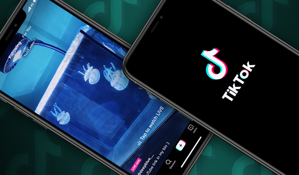 TikTok Has Spawned Its Own Ecosystem of Nearly 1,000 Apps Totaling 1.3 ...