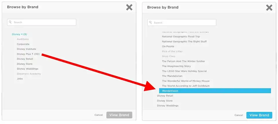 Digital Marketing Strategies of Disney, Amazon, & Geico