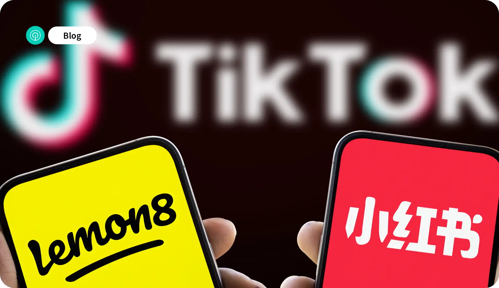 RedNote Sings in Light of TikTok’s Looming Ban