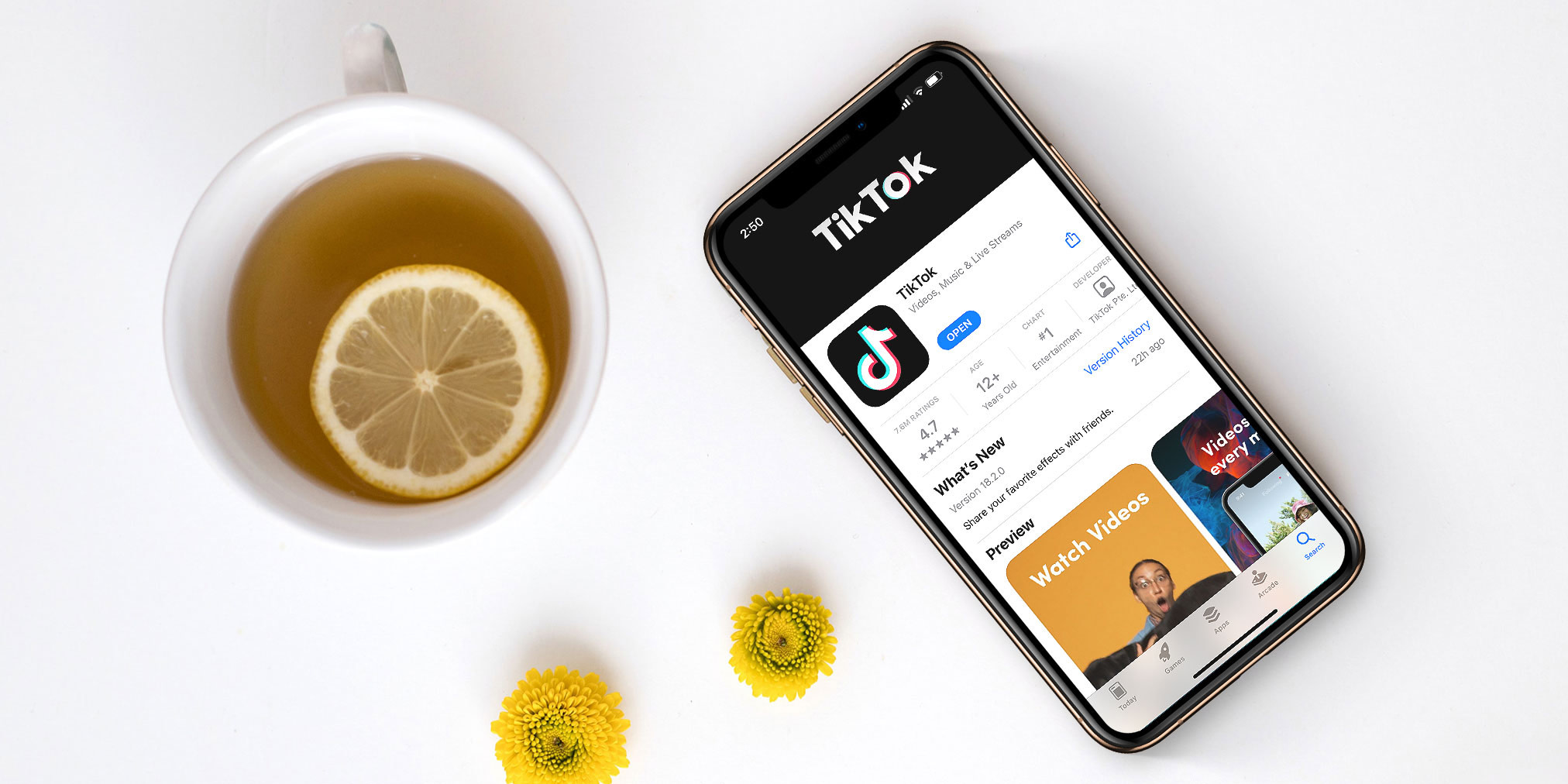 TikTok Was the Best-Rated of 2020's Top U.S. iOS Apps