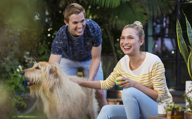 Invisalign-kustannukset | Kuinka paljon Invisalign-hoito maksaa