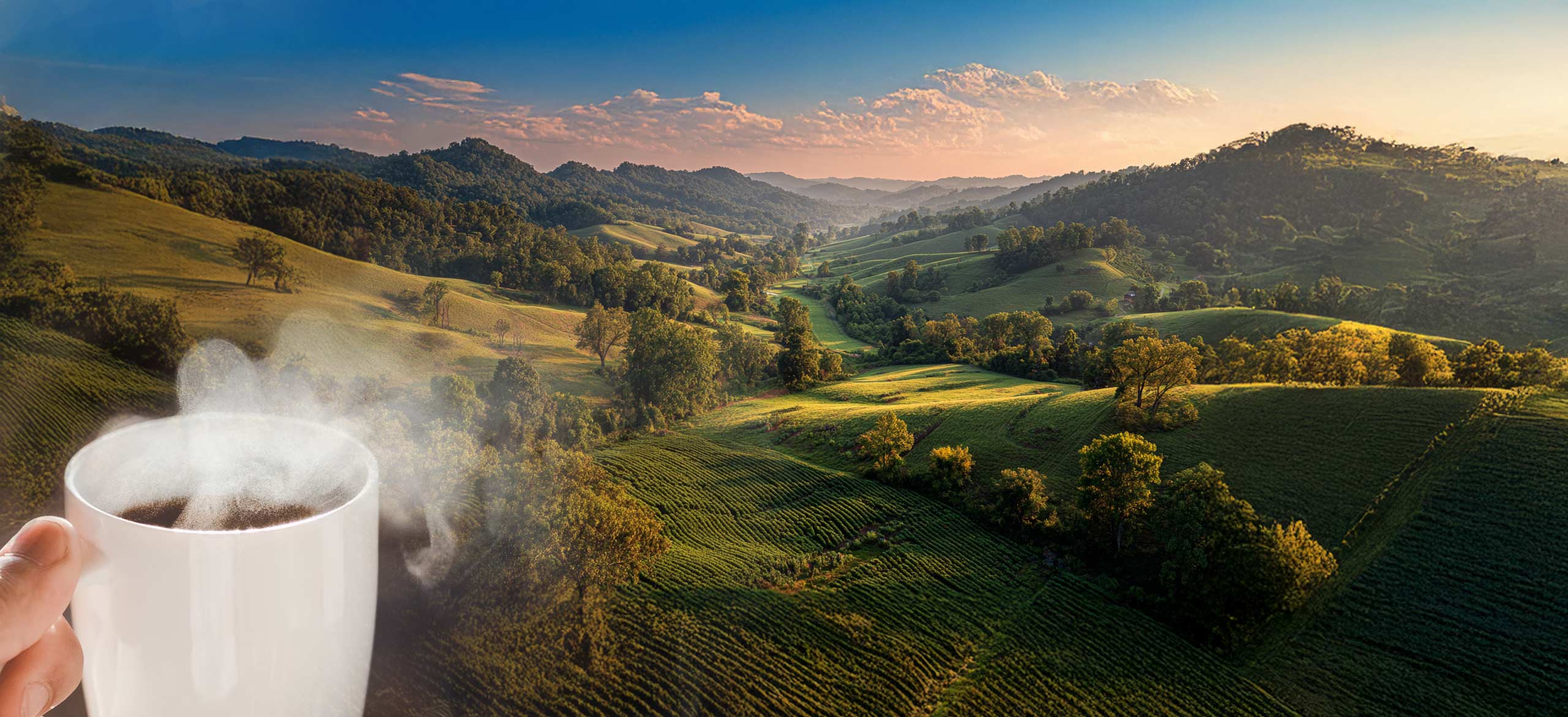 Sustainable Custom Coffee & Food Packaging from Kentucky