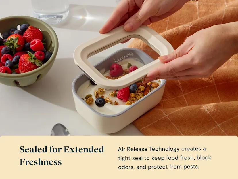 Mini Food Storage Set | Glass Food Storage Containers with Lids | Caraway