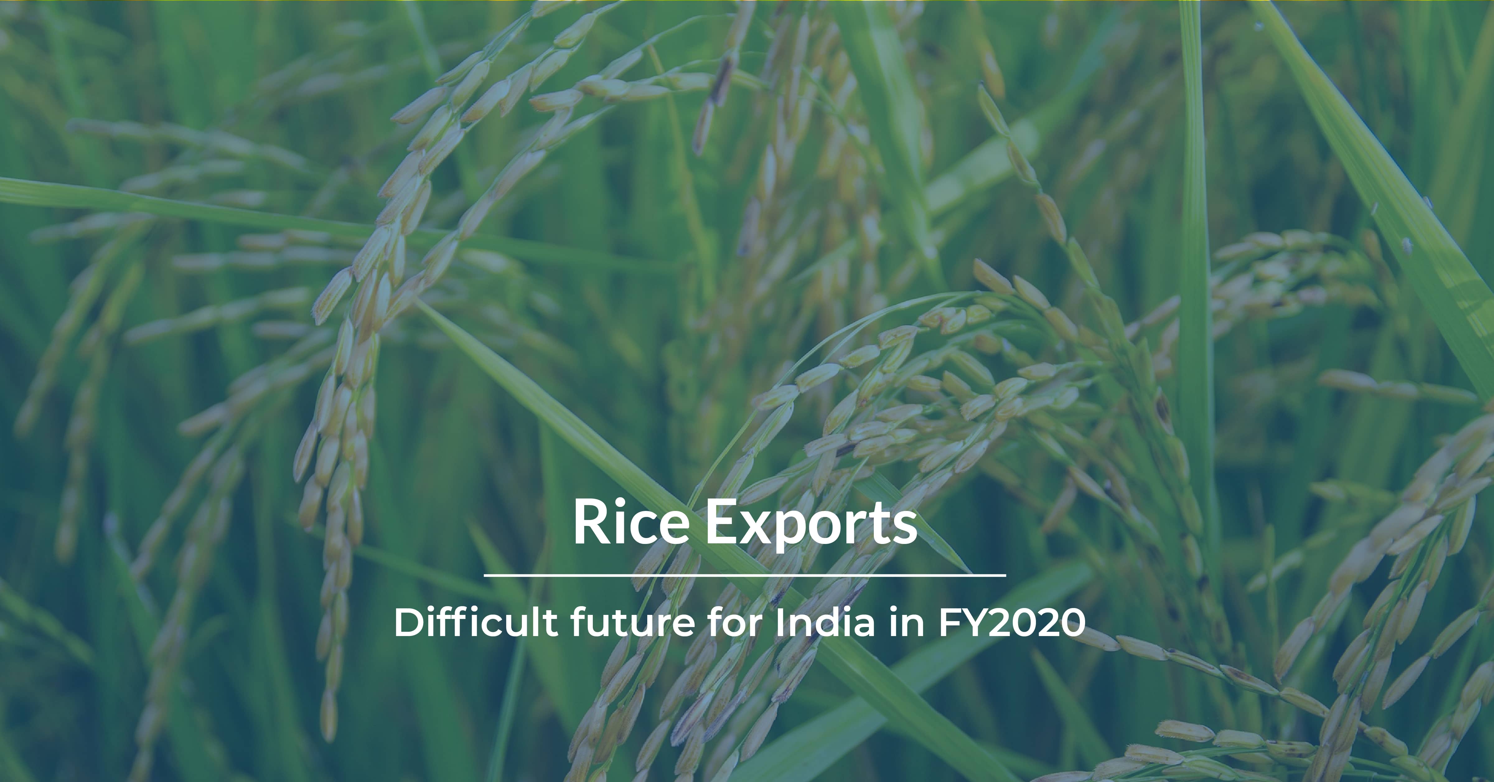 Rice Exports: Difficult Future for India in FY 2020 | Drip Capital