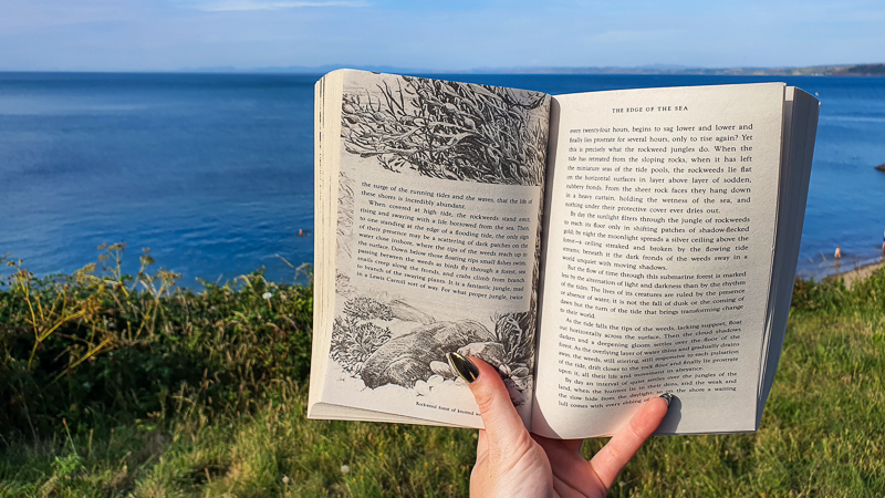 HOW TO READ WITHOUT SCROLLING ON SOCIAL MEDIA