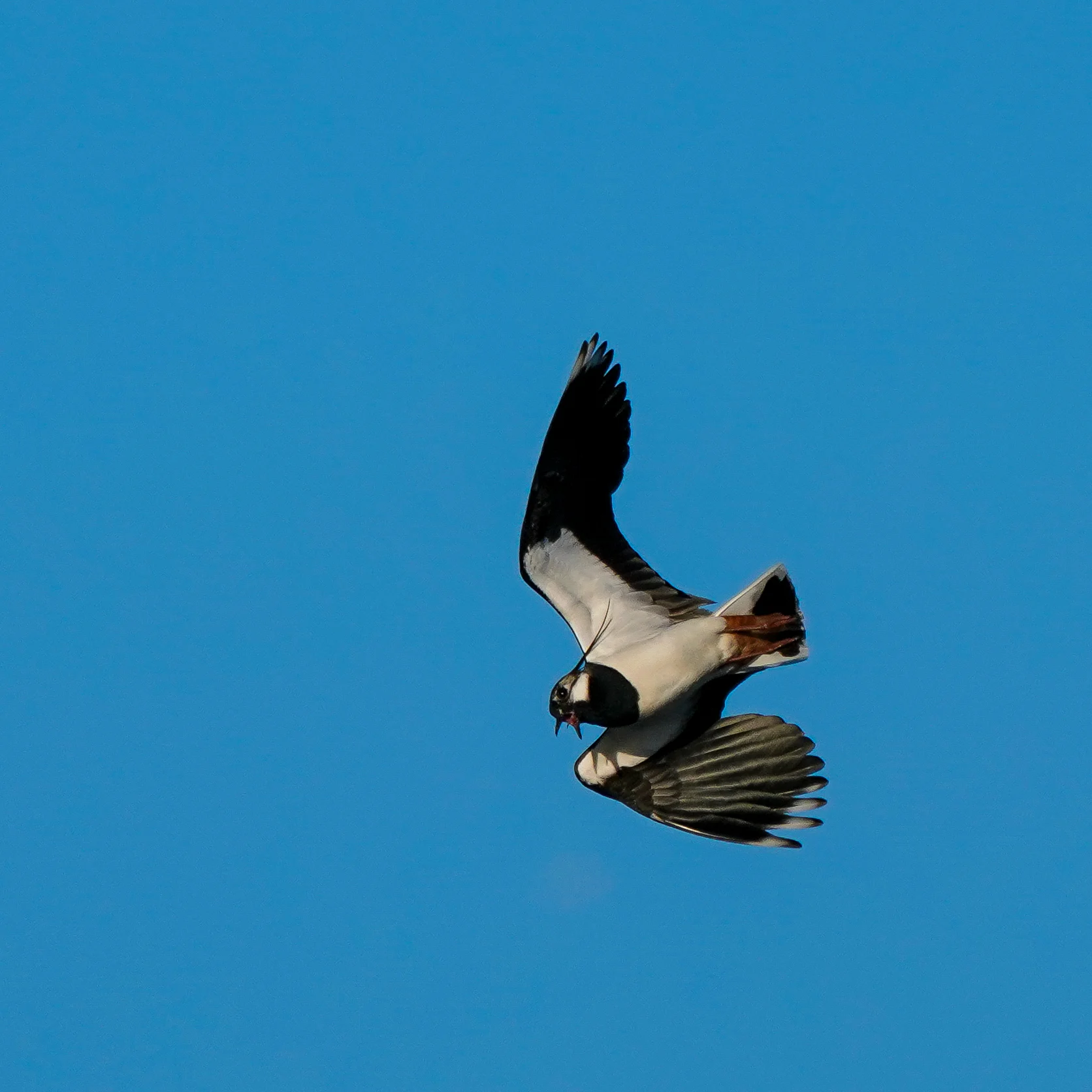 EXPLORING RSPB ST AIDAN'S