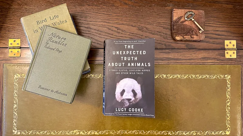 22 amazing non-fiction books by women