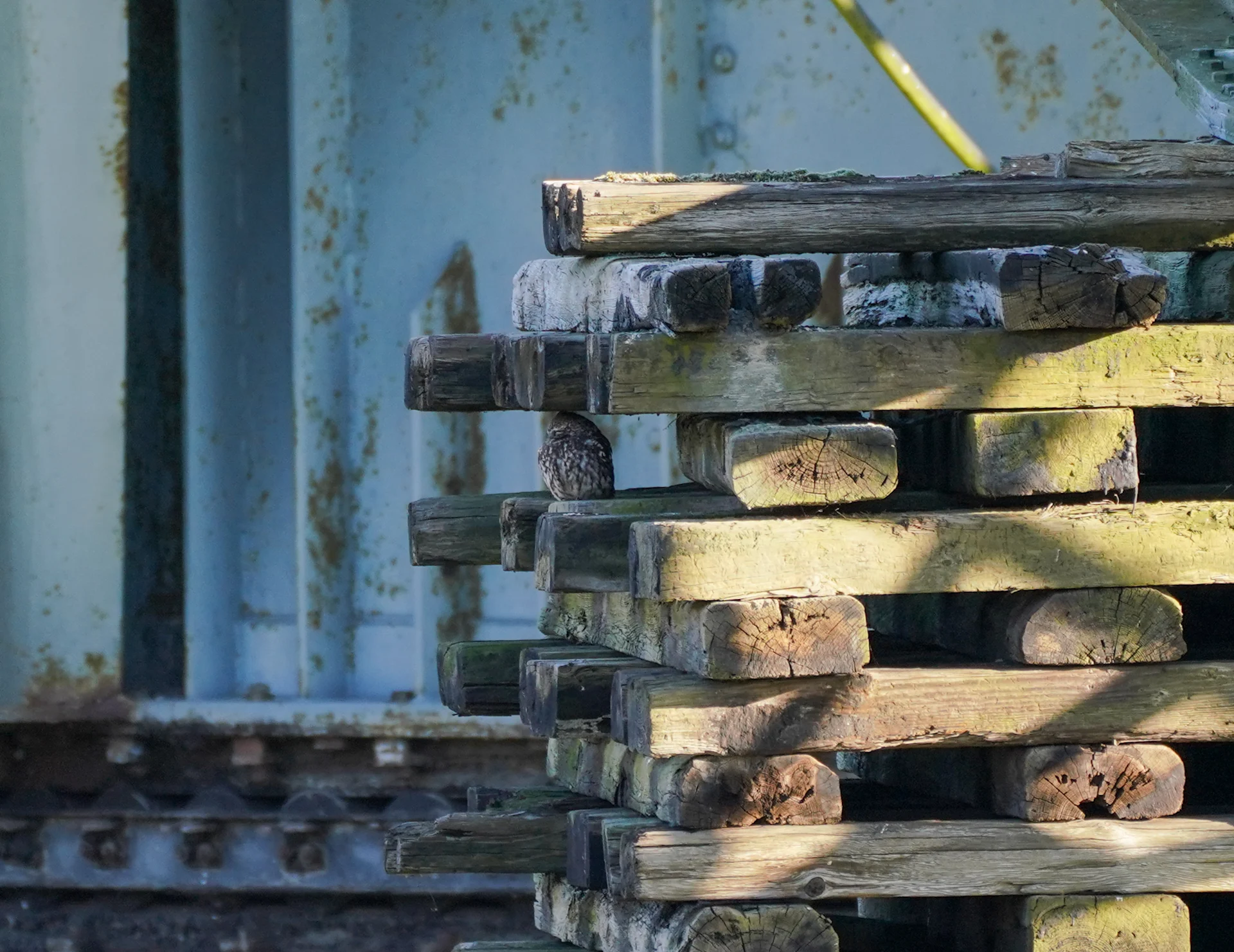 EXPLORING RSPB ST AIDAN'S