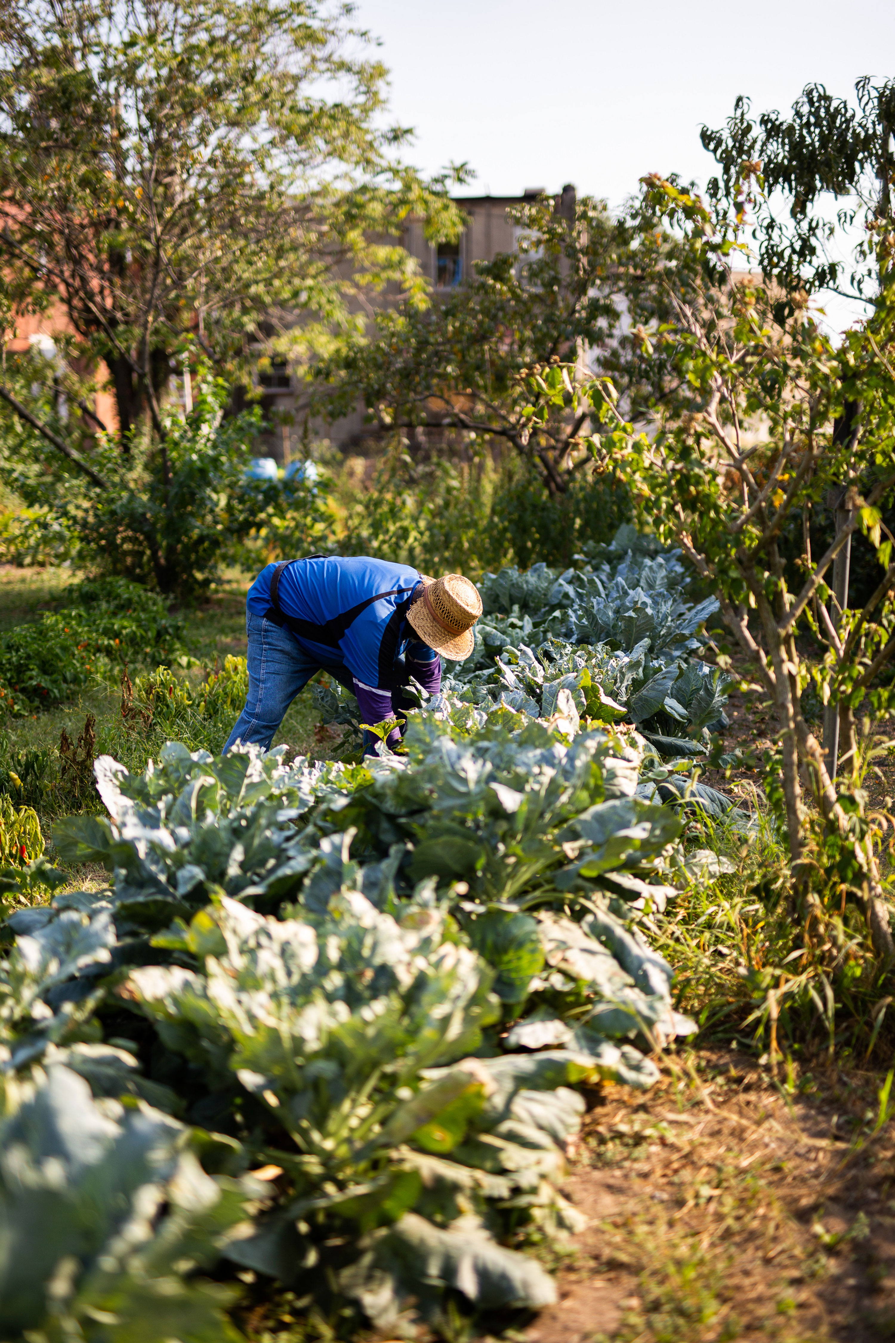 Donate to NDC or Sponsor a Project | The Neighborhood Design Center