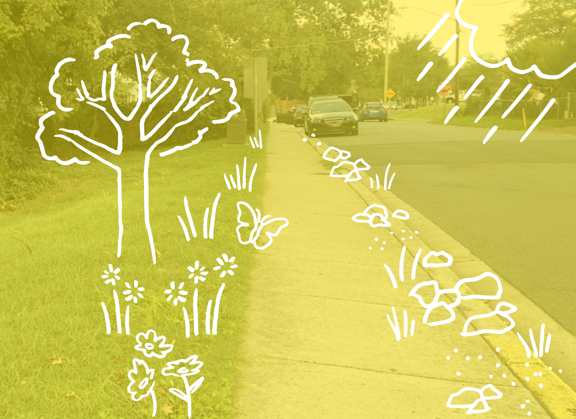 Climate Change: How the Global Issue Impacts Our Own Backyards | The ...