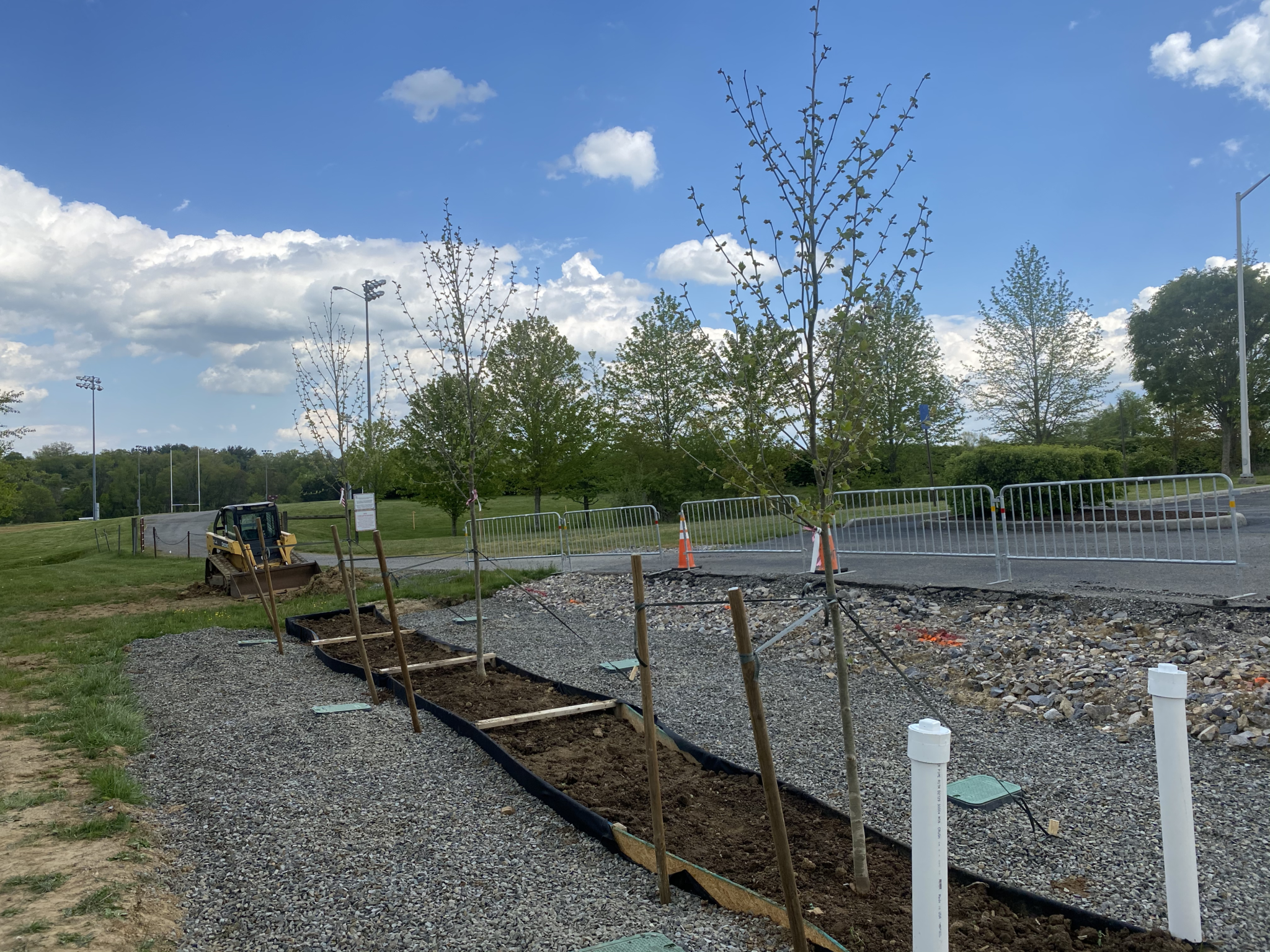 Stormwater Management and Trees- A Dynamic Duo | The Neighborhood ...