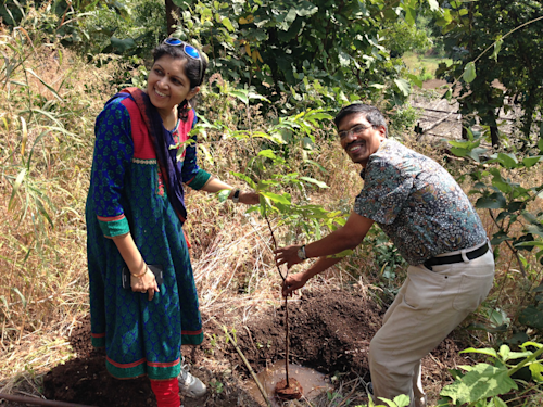 Plant 40,000 Trees to celebrate IIT Kanpur Diamond Jubilee - 14 Trees ...