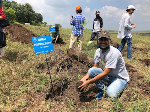 Plant 40,000 Trees to celebrate IIT Kanpur Diamond Jubilee - 14 Trees ...