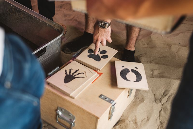 Bedrijfsuitje in Breda organiseren? | STRND