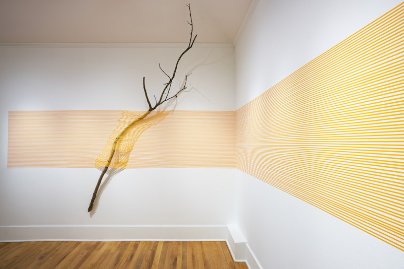 Foundwork | Guest Curators | Rachel Adams