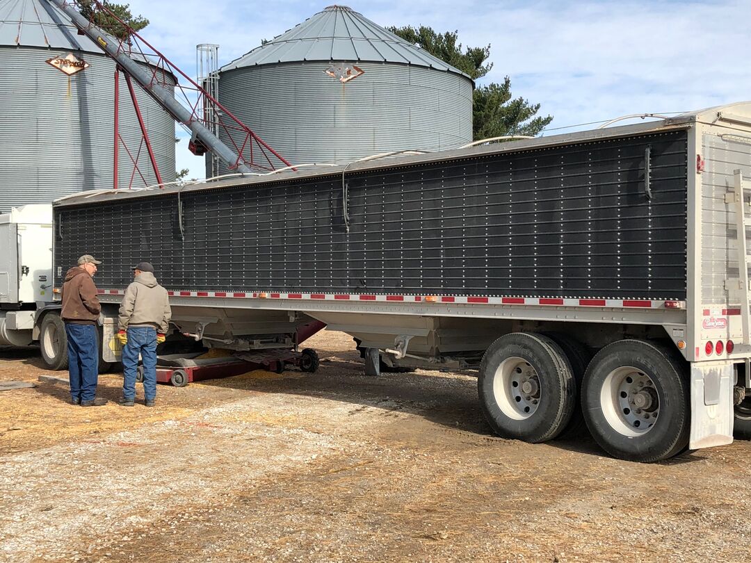 When (and Where) Is On-farm Grain Storage More Profitable? | FBN
