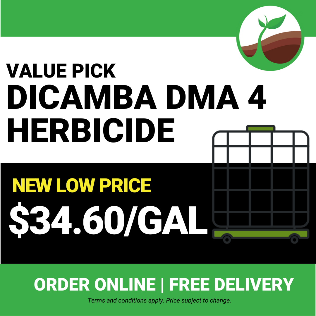 Dicamba DMA 4 Value Pick | FBN