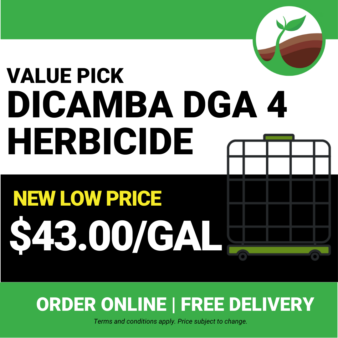 Dicamba DGA 4 Value Pick | FBN