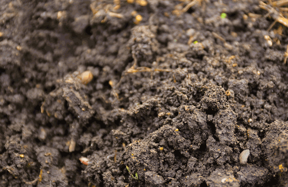 How to Read a Soil Analysis Report | FBN