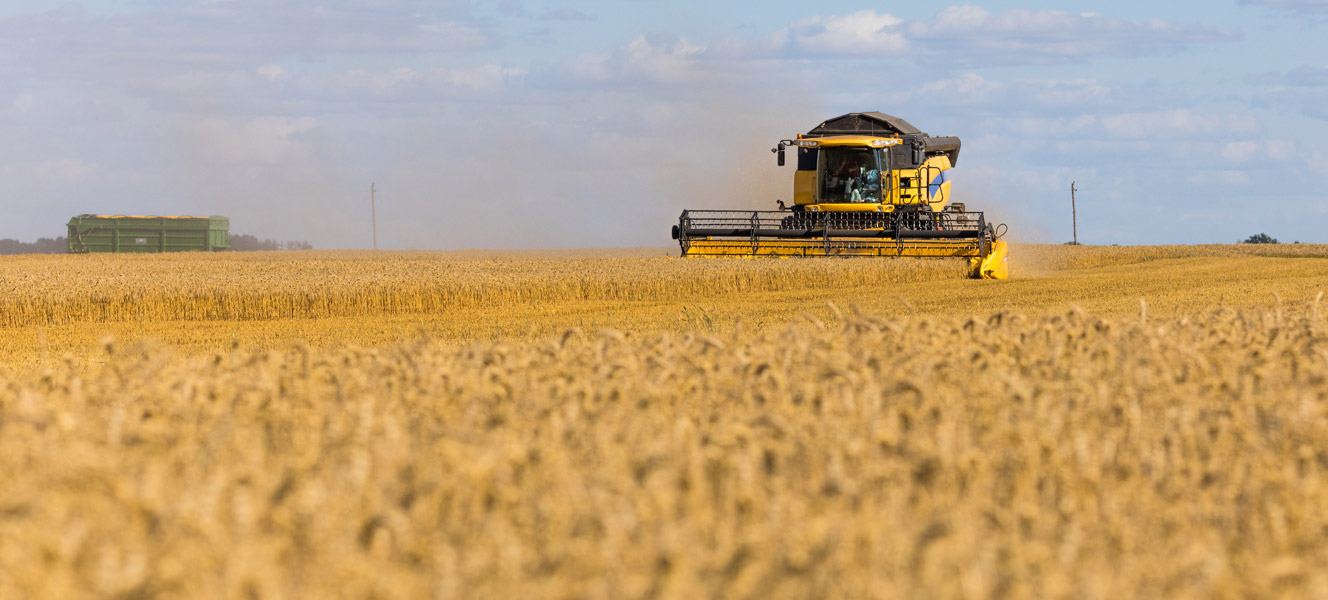 When Are Multi Peril Crop Insurance (MPCI) Deadlines? | FBN